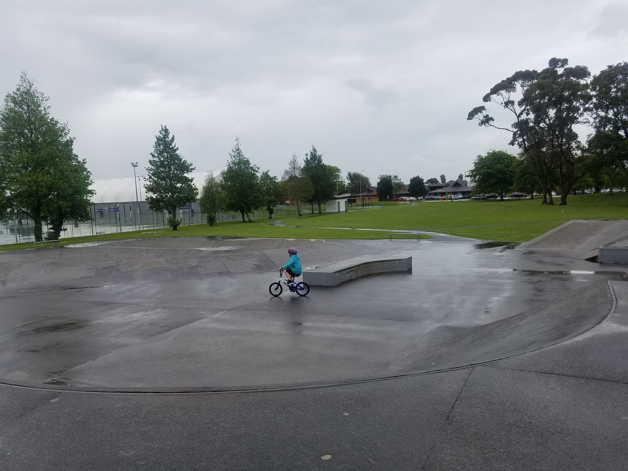 Te Pai Park, Henderson | Auckland, NZ | Skate Finder